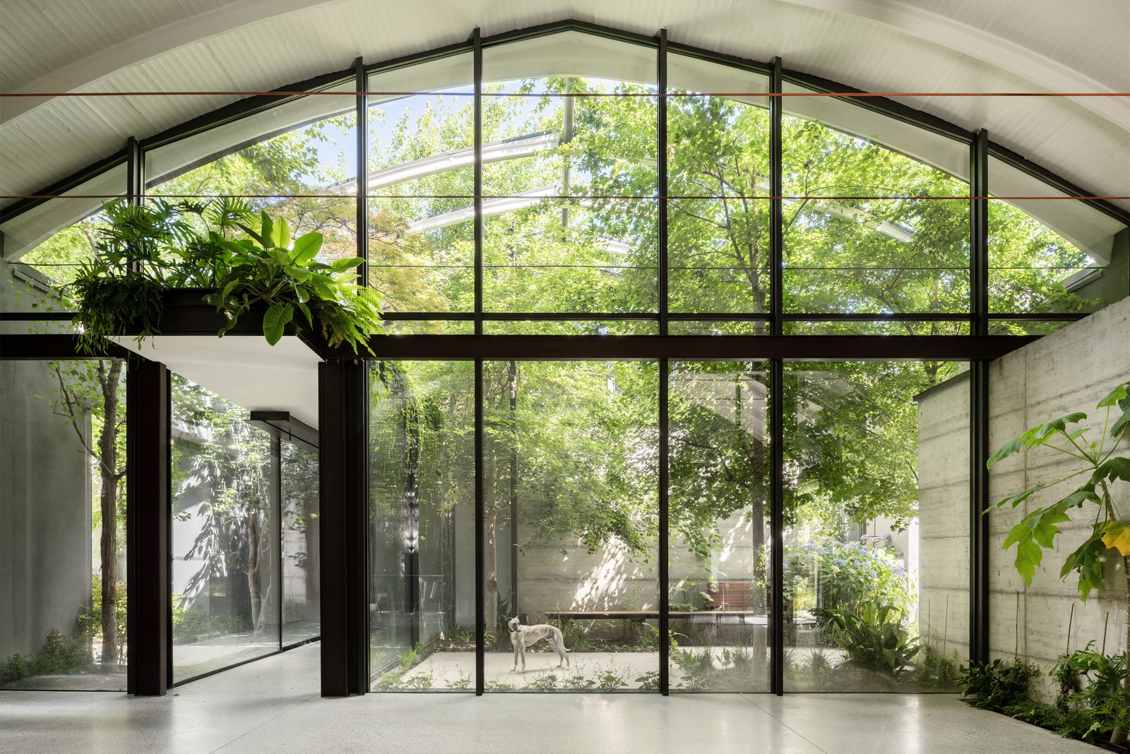 Casa Vivaio, a transformation with a green heart